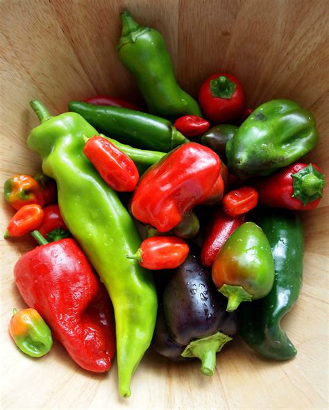 The Pepper Patch Paid Off Rgardening