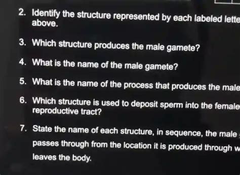 identify the structure represented by each labeled lette above which