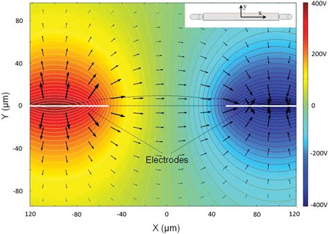 The Simulation Result Of The Electrical Field And Potential