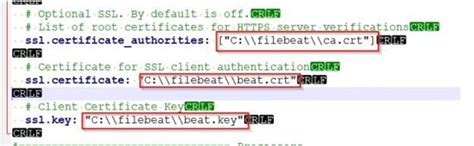 Enabling DNS Log Enrichment On Windows Server Secutec Support Portal