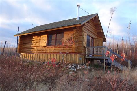 Little Bohemian Cabin Tiny House Swoon