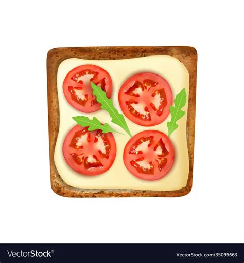Tomato Bread Butter Composition Vector Image On Vectorstock Bread
