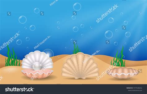 Pearl Inside Shell Over 489 Royalty Free Licensable Stock Vectors And Vector Art Shutterstock