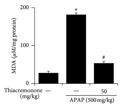 Decreased Expression Of Cytochrome P450 2e1 Gshgssg Ratio No And