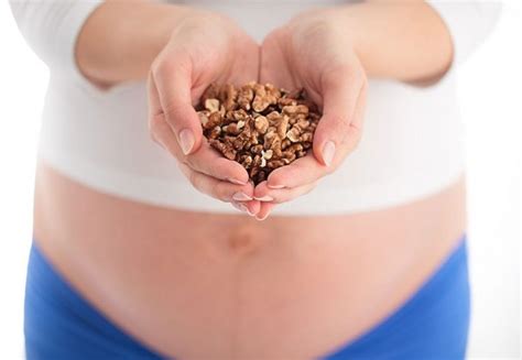 Грецкие орехи при беременности польза и вред на ранних и поздних сроках отзывы