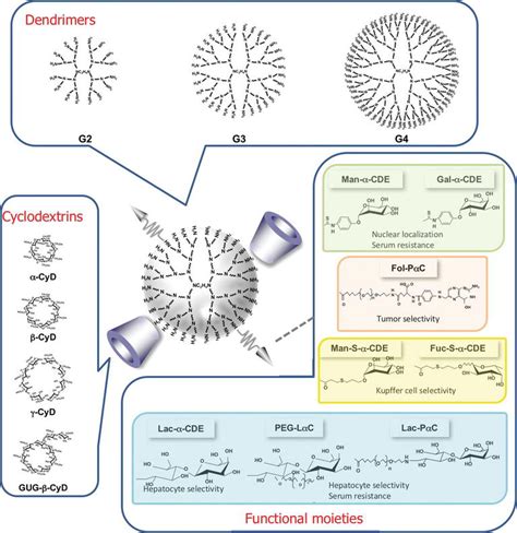 Promising Use Of Cyclodextrin Based Non Viral Vectors For Gene And