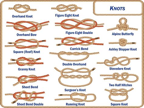Amazon Zieglerworld Laminated Essential Knot Guide Basic And
