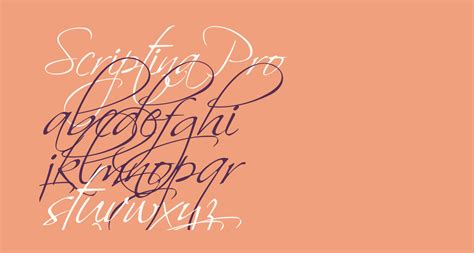 Scriptina Pro Free Font What Font Is