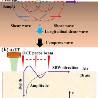 A Schematic Diagram Of The Propagation Of Different Mechanical Wave Download Scientific