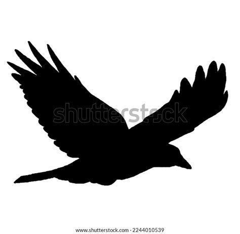 Bird Flight Silhouette Vector Graphic Hand Stock Vector Royalty Free