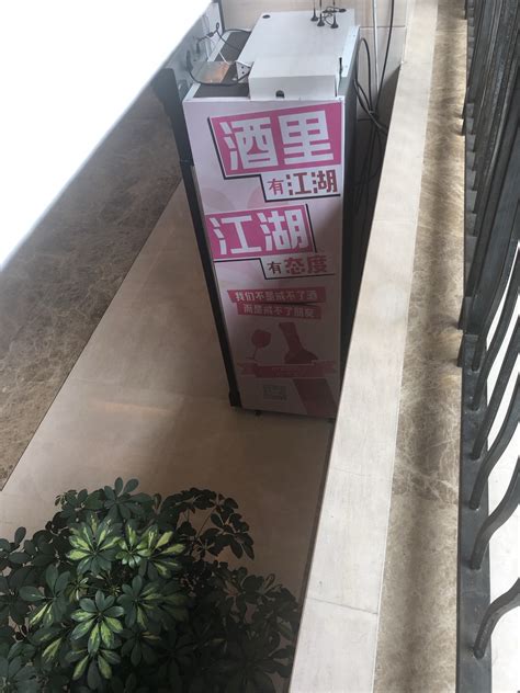 2024太阳岛旅游度假区游玩攻略这个位于上海青浦区的旅游度【去哪儿攻略】