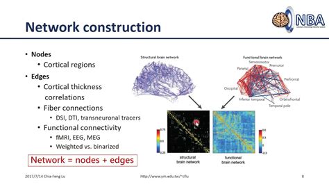 Genes Cognition And Human Brain Evolution