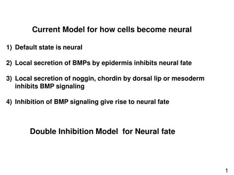 Ppt Current Model For How Cells Become Neural Default State Is Neural
