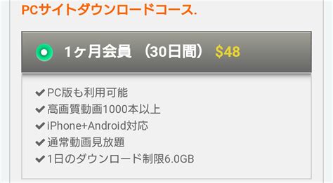 金8天国（金髪天国）は外国人無修正のトップランナー？評判口コミやサイトの情報を調査し実際に登録してみた