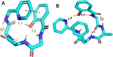 Conformation Of The Theoretically Minimized Structure Using Mmff And