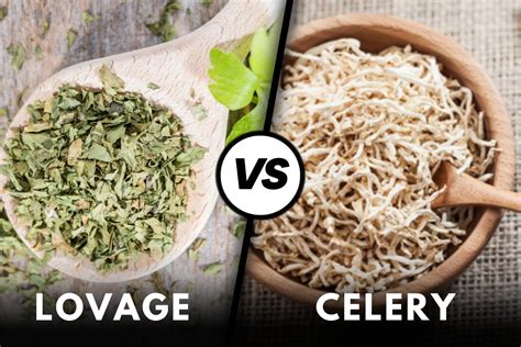 Lovage Vs Celery CondimentBucket