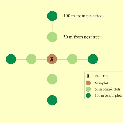 2 Habitat Sampling Plot Design Download Scientific Diagram