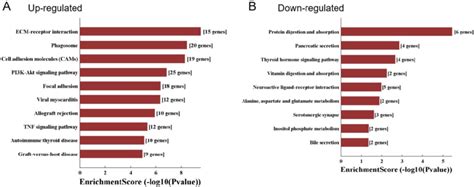Kegg Pathway Analysis Of Differentially Expressed Mrnas A The Top 10