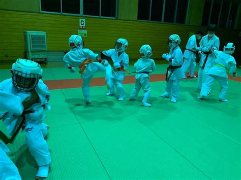 極真会館栃木南支部の空手記録 〜継続は力なり〜