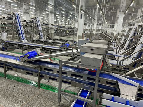 For Chicken Products Skin Machine Chicken Neck Chicken Leg Automatic