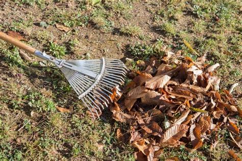 How To Use A Lawn Leveling Rake Pull Behind Home Utile