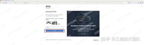 Amazon Sp Api Mws Api
