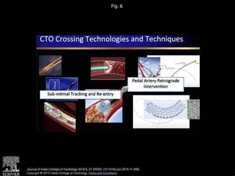 Jaafer Golzar Md Facc Fscai Journal Of Indian College Of Cardiology