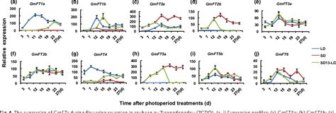 Figure 1 From Functional Diversification Of Flowering Locus T Homologs
