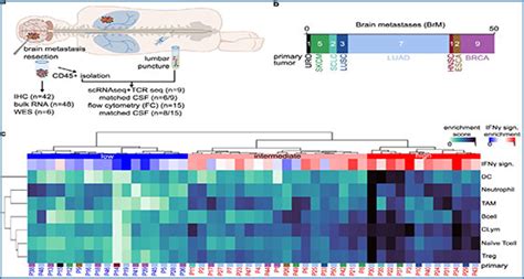 Rna Sequencing Of Immune Cells Infiltrating Cerebrospinal Fluid Enables The Characterization Of