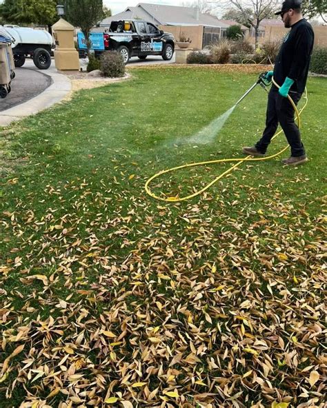 Weed Control Service At Best Price In Vadodara Id 15512914548