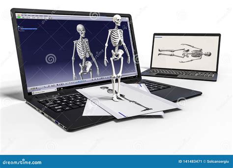 3d rendering representing a computer aided design of a human skeleton