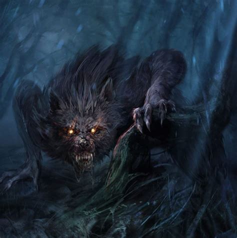 La Bête Du Gévaudan Wiki Fatestay Night Amino