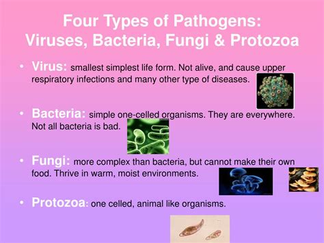 Ppt Communicable And Non Communicable Diseases Powerpoint