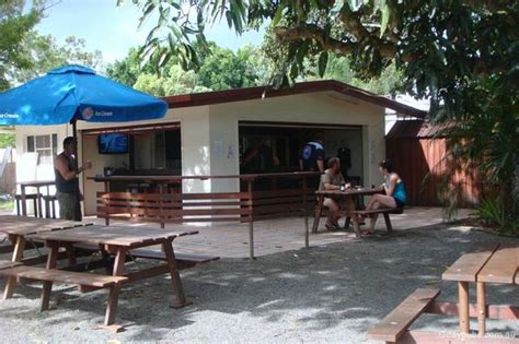 Tree House Tavern In Cawarral Tree House Tavern In Cawarral