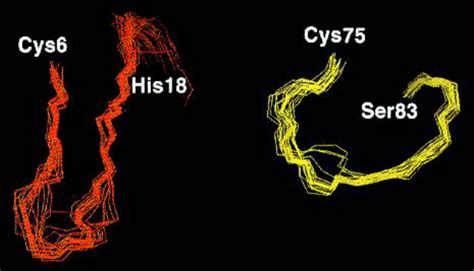 The Solution Structure And Backbone Dynamics Of The Fibronectin Type I