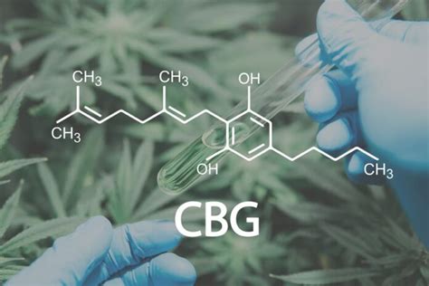 Dosage Chart Guide For Hemp Extracts Cbd Cbn And Cbg Chart Attack