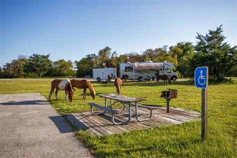 Assateague Island Campground Outdoor Project