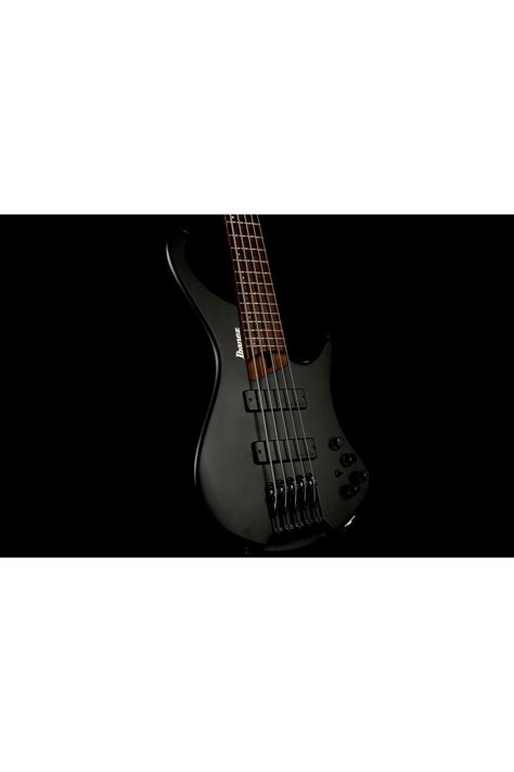 5 String Basses