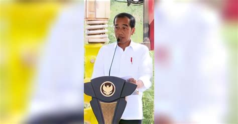 Indonesia Bakal Impor 3 Juta Ton Beras Tahun Depan Dari India Dan Thailand