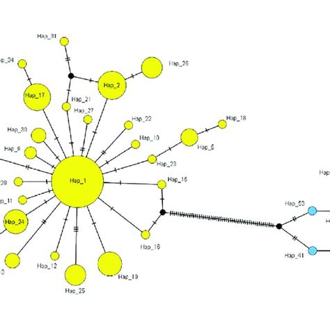 Median Joining Network Based On 53 Haplotypes Inferred From Nd2 Gene Download Scientific