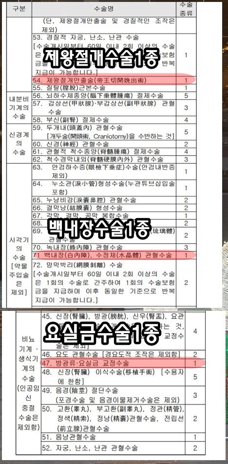 메리츠화재 종수술비1~5종 10대 20대 31세 상담사례 여성에게 특별히 좋은 이유 업계 최고의 수술비 네이버 블로그