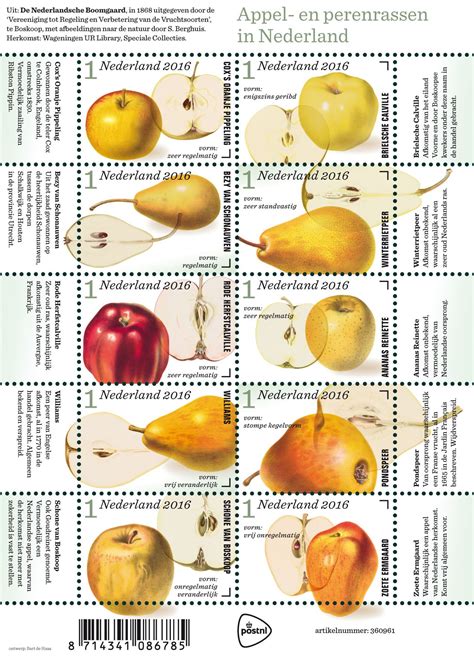 Pear Varieties Chart