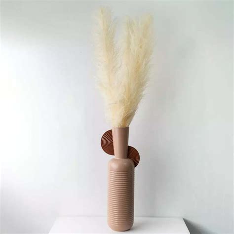 Red Dried Pampas Grass Pampas Bunch Whispering Homes