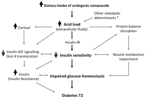 Nutrients Free Full Text Insulin Sensitivity And Glucose