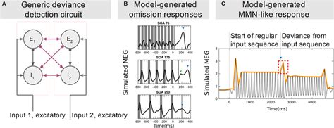 Computational Model Of Deviance Detection Nodes And Simulated Meg