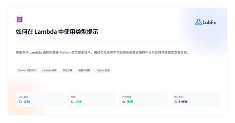 如何在 lambda 中使用类型提示 labex