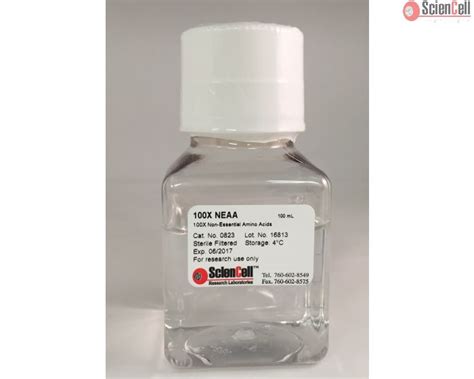 X Non Essential Amino Acids
