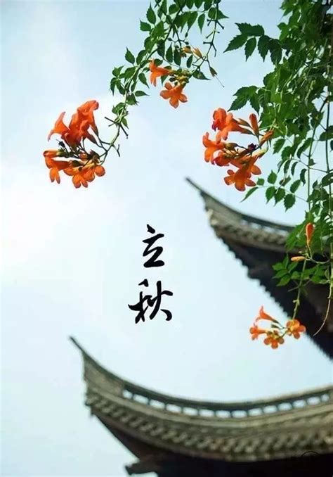 双语节气 今日立秋立秋的九大习俗你了解多少 Autumn