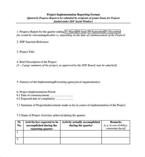 Professional Project Implementation Report Template