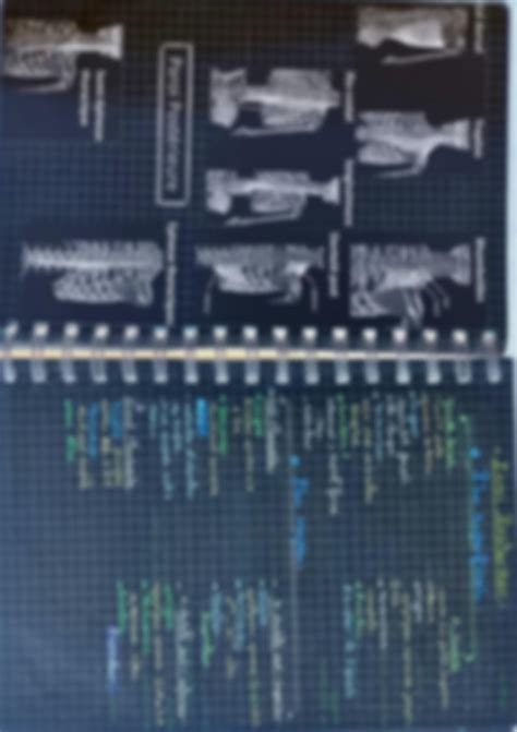 Solution Paroi Thoracique Anatomie Studypool